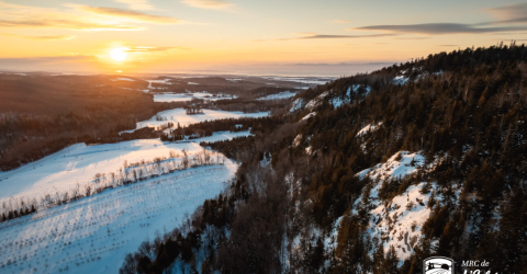 Andréane Collard-Simard devient directrice générale adjointe
